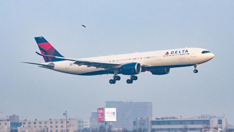 Delta Airlines Latest News & Analysis - BBC News