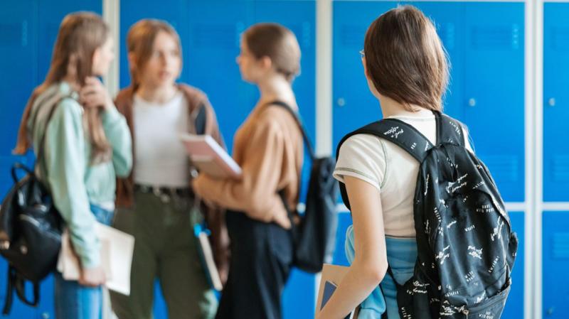 School bullying - BBC News