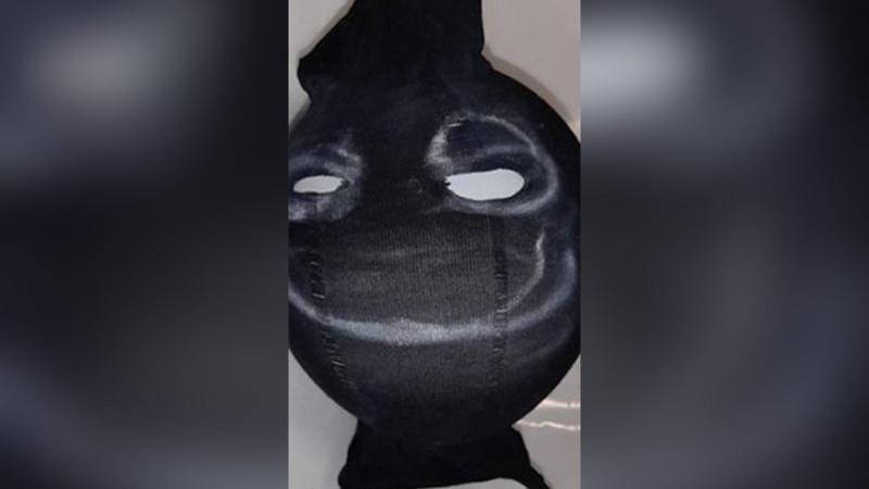 Somerset man in gimp suit guilty of harassing women - BBC News