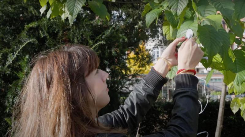 Brighton composer's cancer treatment inspired music - BBC News