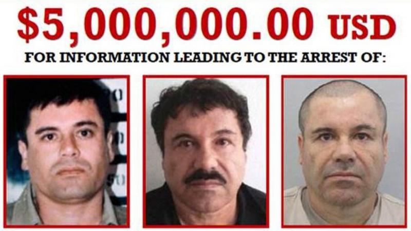 'El Chapo' recaptured after jail break - BBC News