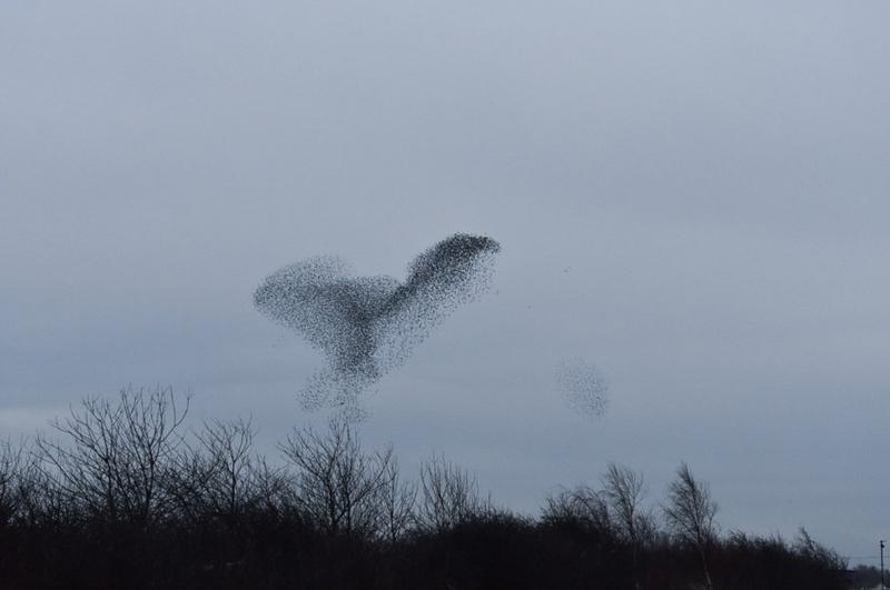 England's Big Picture: 21 - 27 January - BBC News