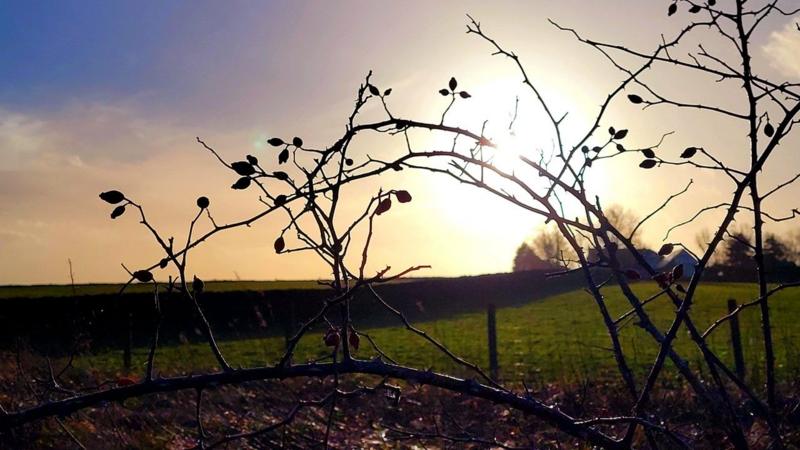 Snow Moon 2025: How and when to see the February full Moon - BBC Weather