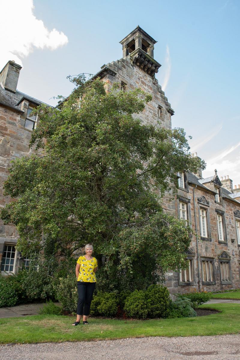 Scotland's tree of the year contenders announced - BBC News
