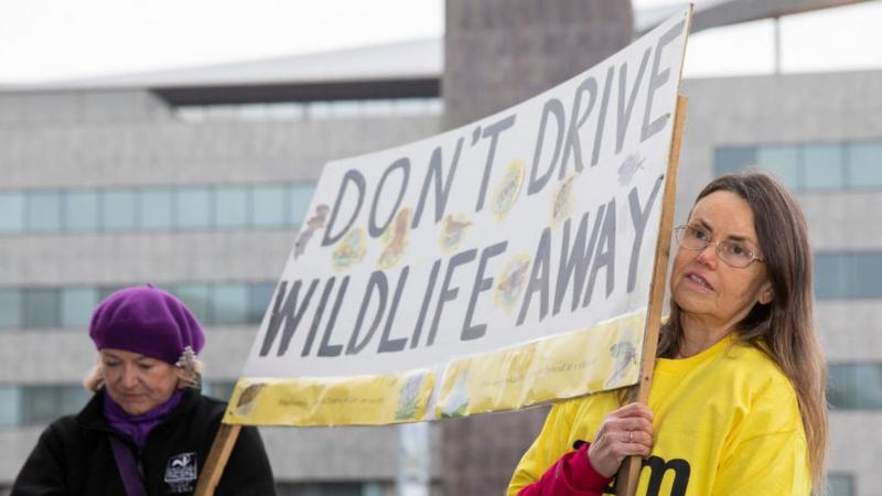 M4 relief road: Newport motorway plans scrapped - BBC News