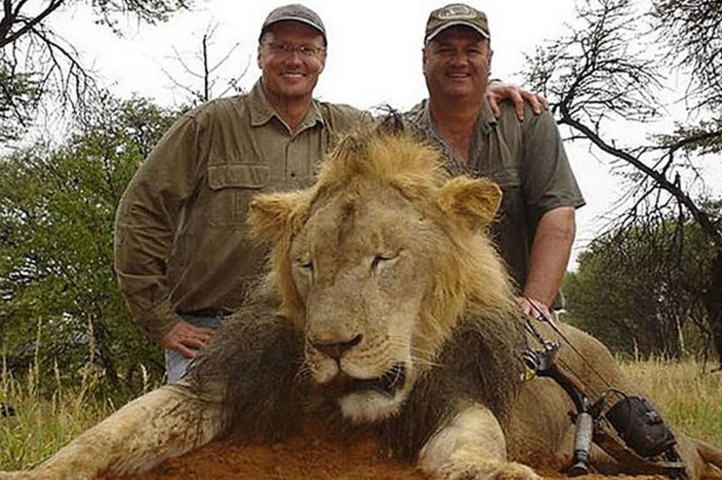 What we know about Cecil the lion and how his killing could affect his ...
