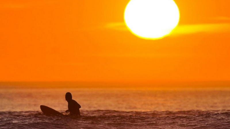 Linda Sharp: The pioneer woman surfer in a sea of men - BBC News