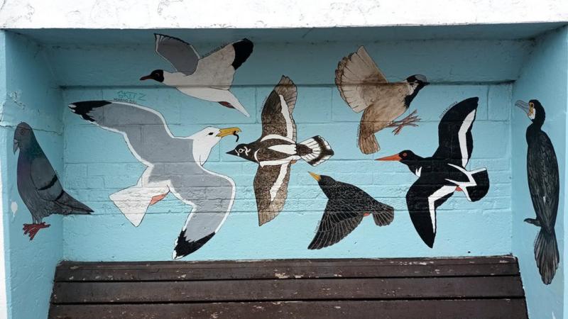 Noisy nuisance or natural wonder? Why there's no easy answer to ...