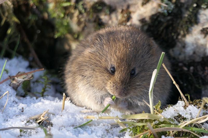 Your pictures of Scotland: Photographs from around the country - BBC News