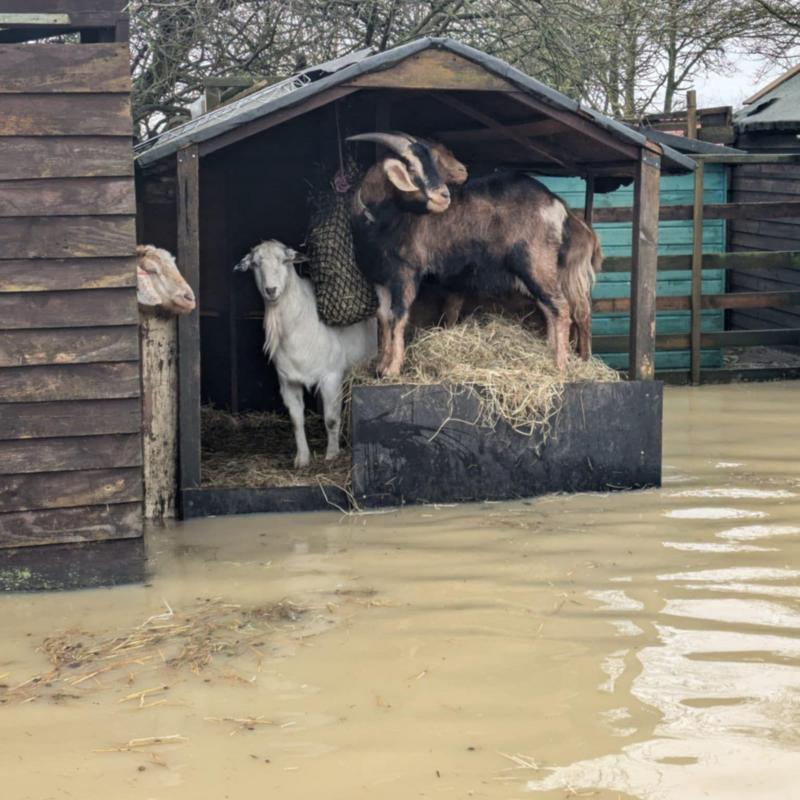 Floods update: Boy rescued as danger remains across the region - BBC News