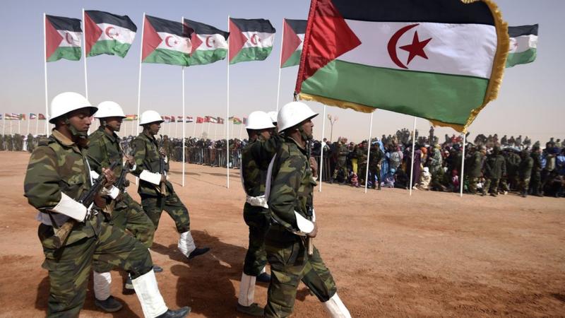 Western Sahara profile - BBC News
