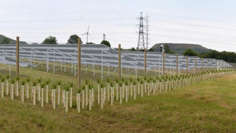 Renewable energy - BBC News