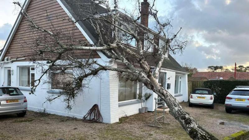 Storm Goretti clean-up in 'full swing' on Channel Islands - BBC News