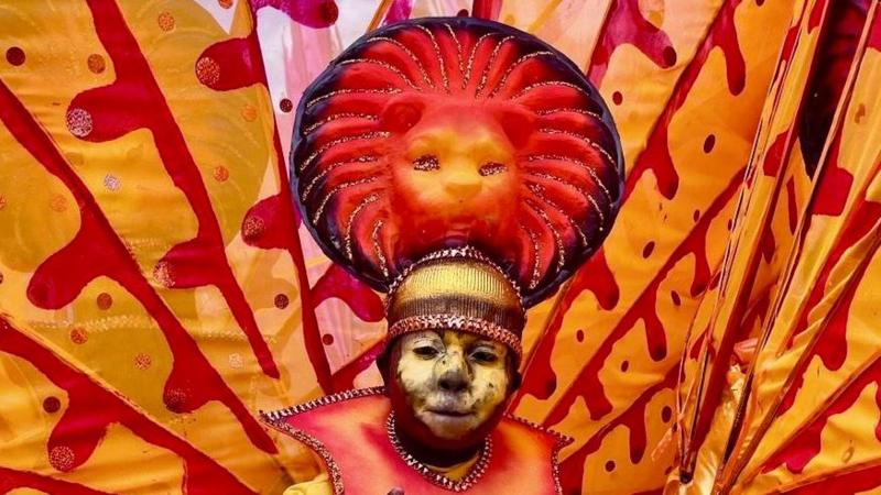 The revellers making Trinidad's carnival more sustainable - BBC News