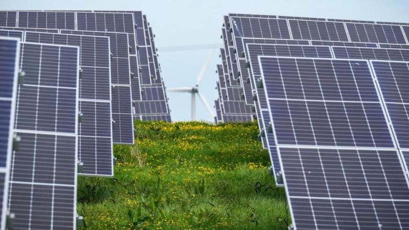 Anglesey council backs review of controversial solar farm plans - BBC News