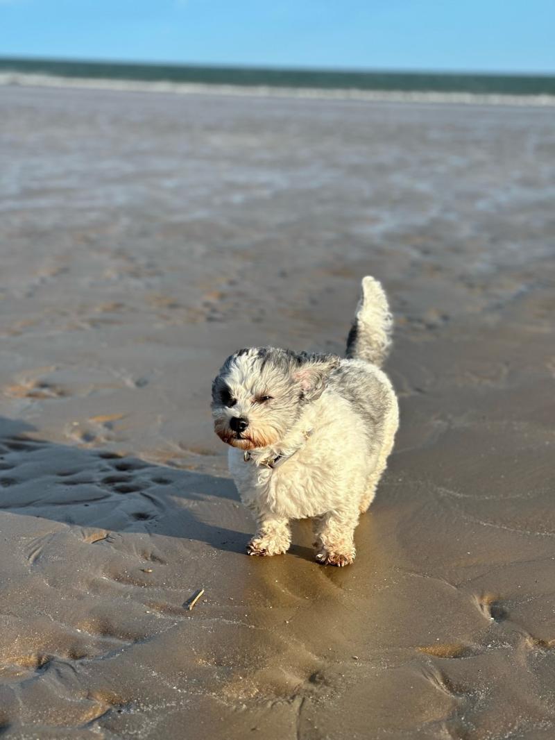 Your pictures of Scotland: 27 January to 3 February - BBC News