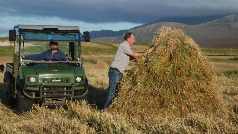 Capturing the unique rhythm of Scottish crofting life - BBC News