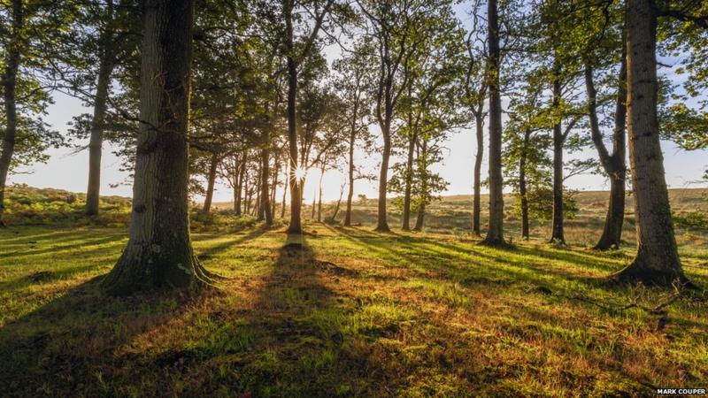 Your September UK photos - BBC Weather