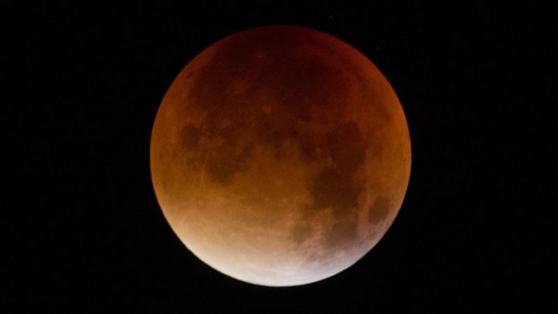 Amazing ‘supermoon’ eclipse photos - BBC Newsround