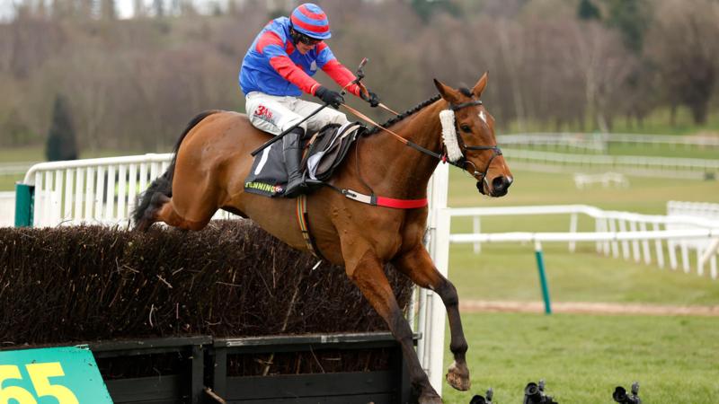 Mr Vango holds on to take Midlands Grand National win - BBC Sport