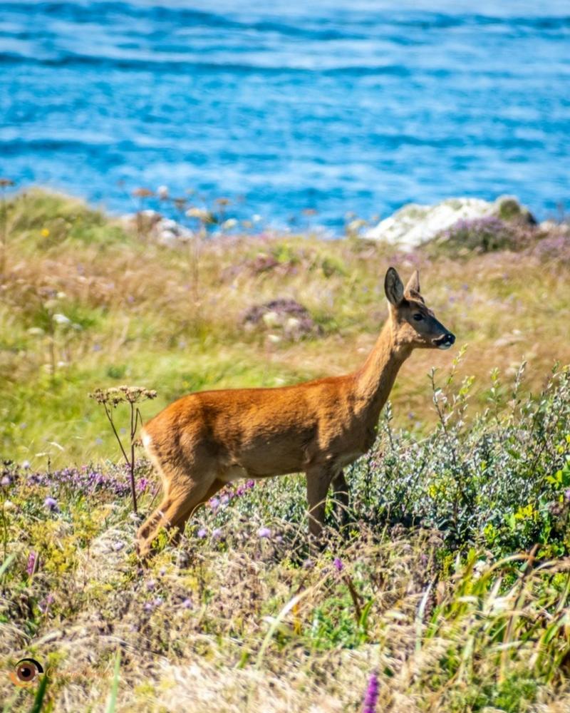 Your pictures of Scotland: 23-30 September - BBC News
