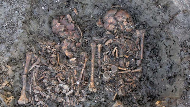 Roman DNA bone analysis reveals Cheddington 'family tragedy' - BBC News