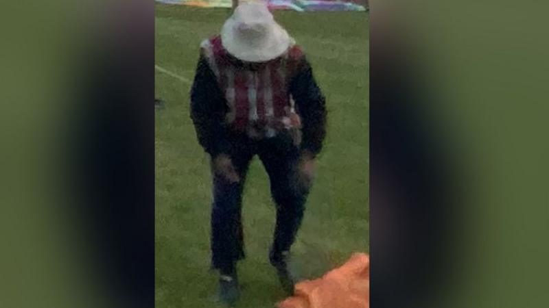 Gboyega Odubanjo: Poet missing after Shambala Festival, police say ...