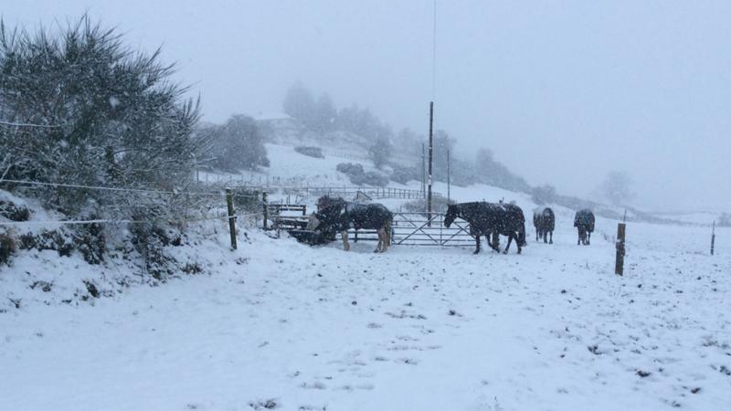 Your pictures of Scotland: 15-22 January - BBC News