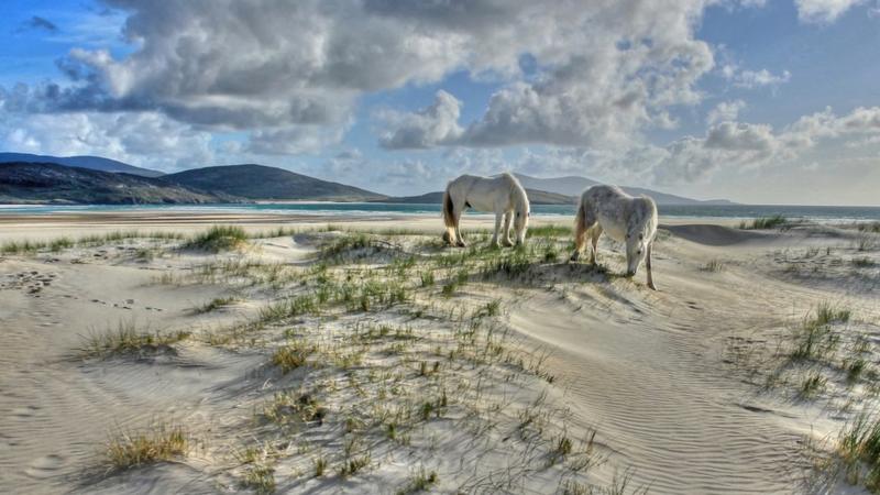 Your pictures of Scotland - BBC News