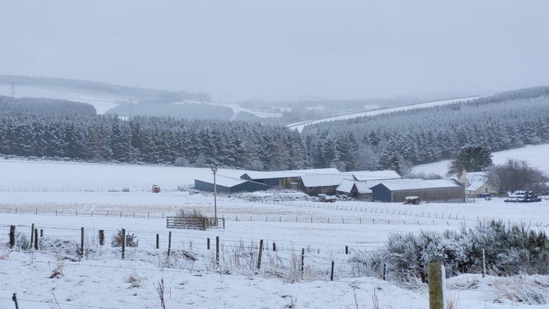 UK weather: Cold spell to give way to milder air this week - BBC Weather