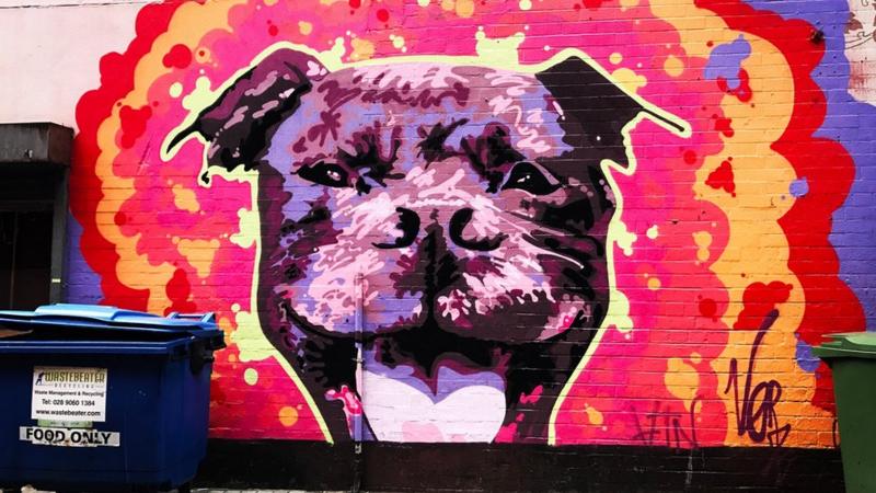 Meet the artists claiming Belfast's streets - BBC News