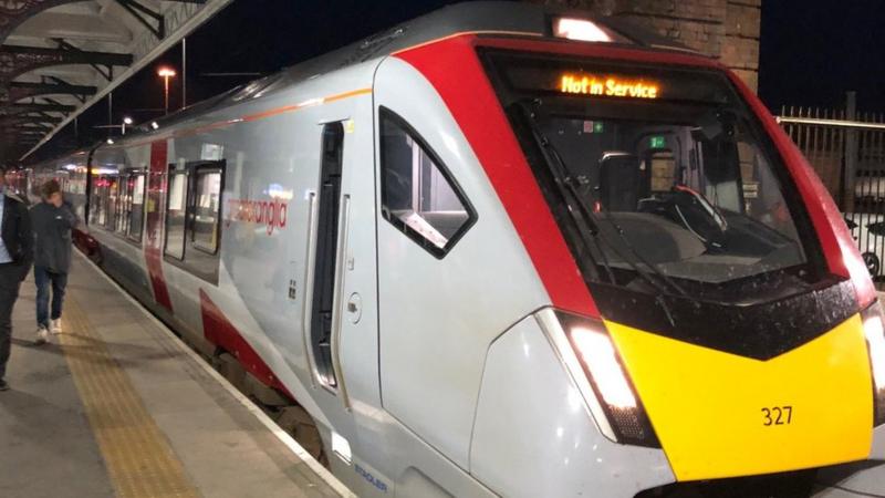 Norwich train passengers stuck three hours after bird strike - BBC News
