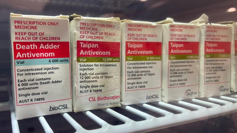 The poison paradox: How Australia's deadliest animals save lives - BBC News