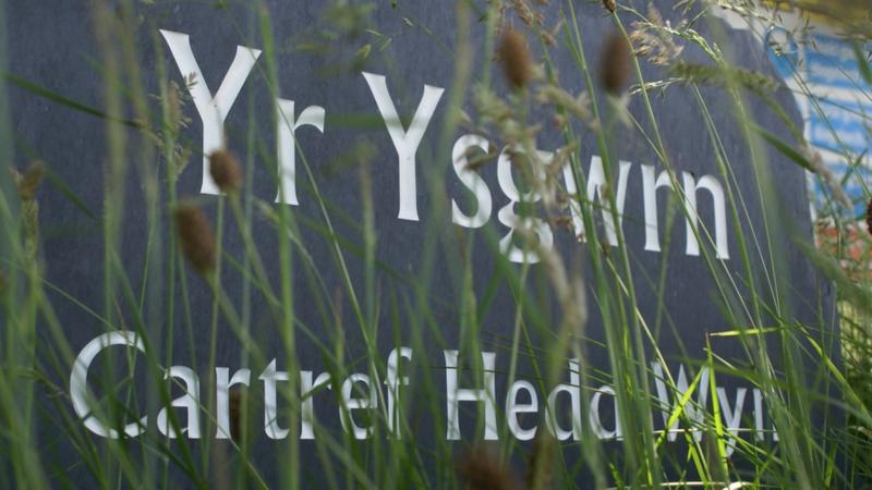 Hedd Wyn: The shepherd poet of Passchendaele - BBC News