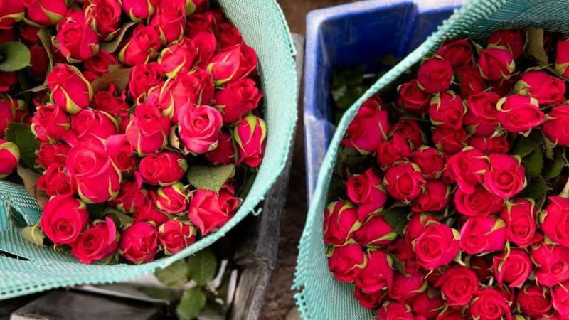 Kenya's flower industry: How farmworkers toil to export roses to Europe ...