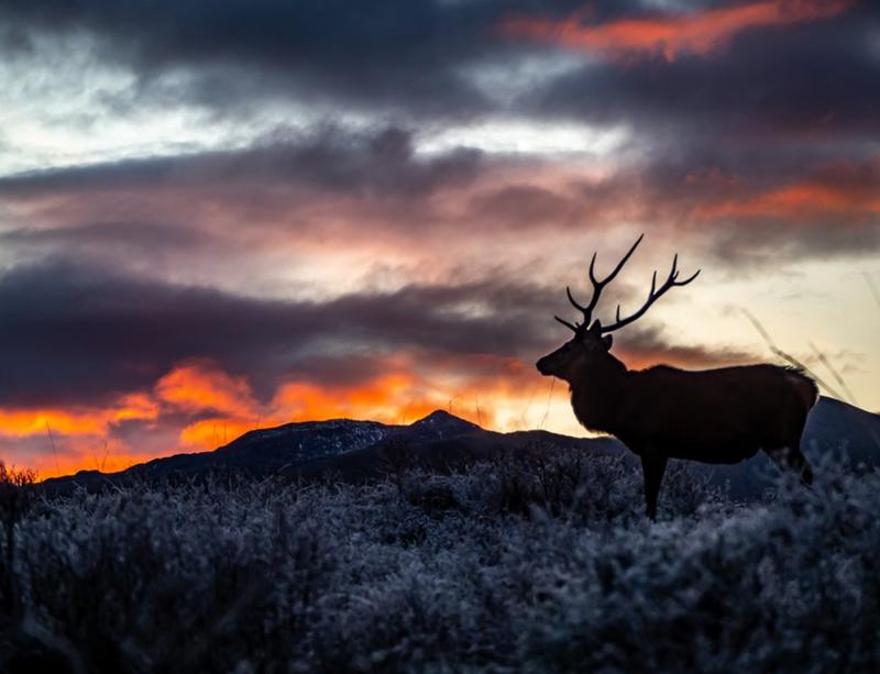 Your pictures of Scotland: 29 November - 6 December - BBC News