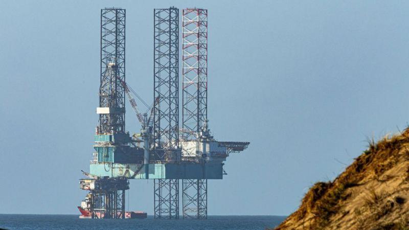 Stowaway baby rabbits found on North Sea drilling rig - BBC News