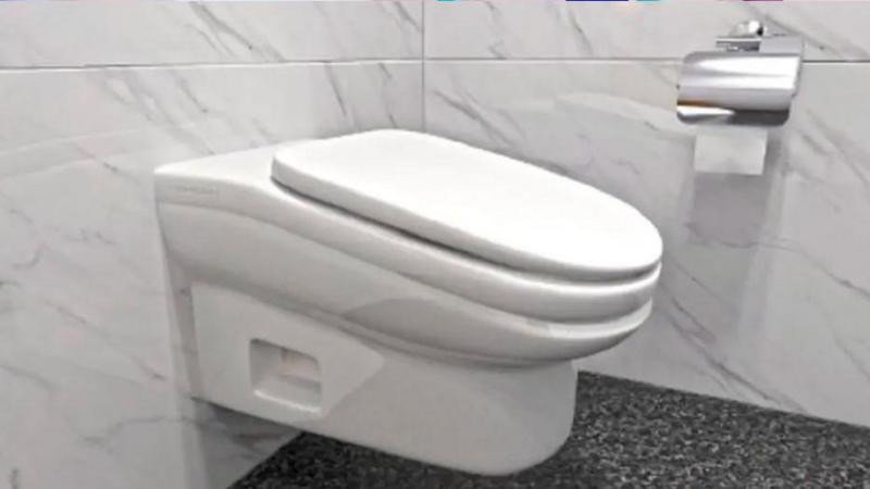 Rod Stewart's Glastonbury boombox toilet and other unusual loos - BBC ...