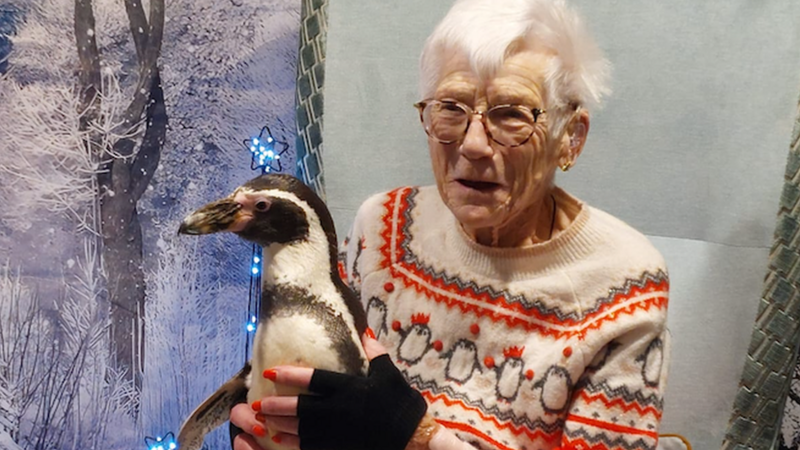 Leamington Spa care home residents get to P-P-Pick up a penguin - BBC News