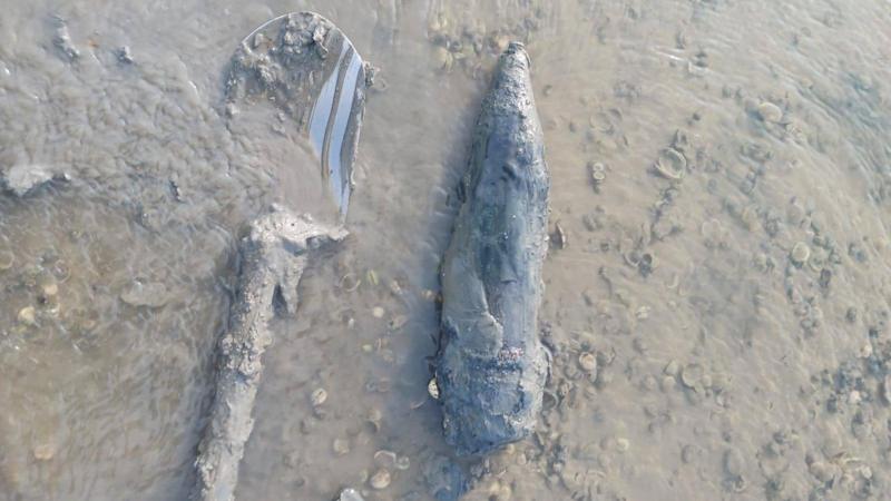 WW2 shell found at Canvey Island is detonated - BBC News