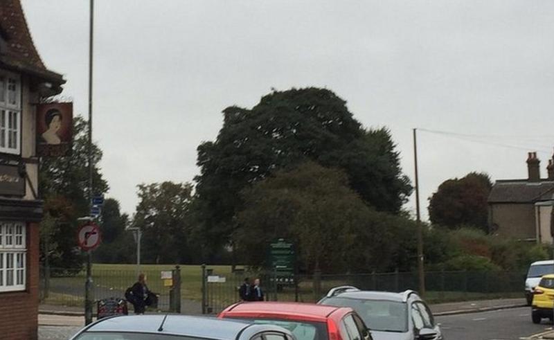 Seven arrests over 'mass school brawl' in Erith - BBC News