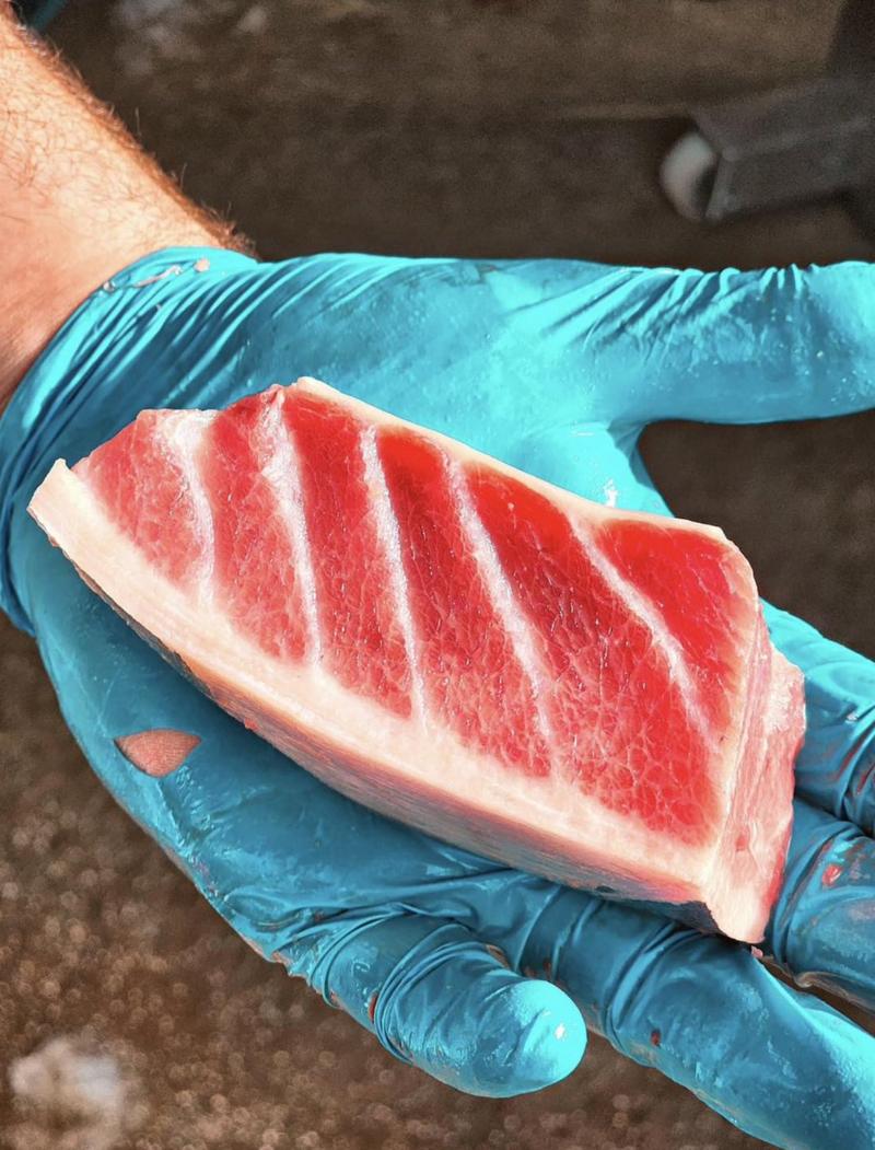 Blue fin tuna being caught and sold under new licences - BBC News