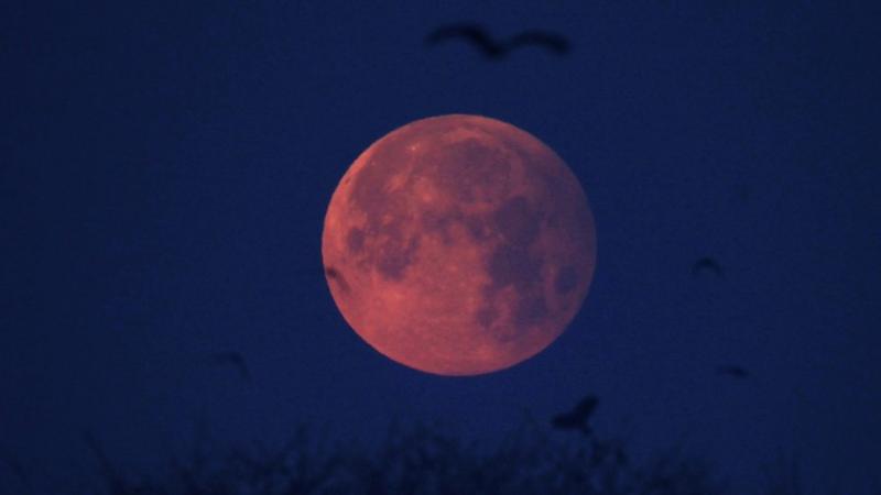 Spectacular snow moon around world - BBC News