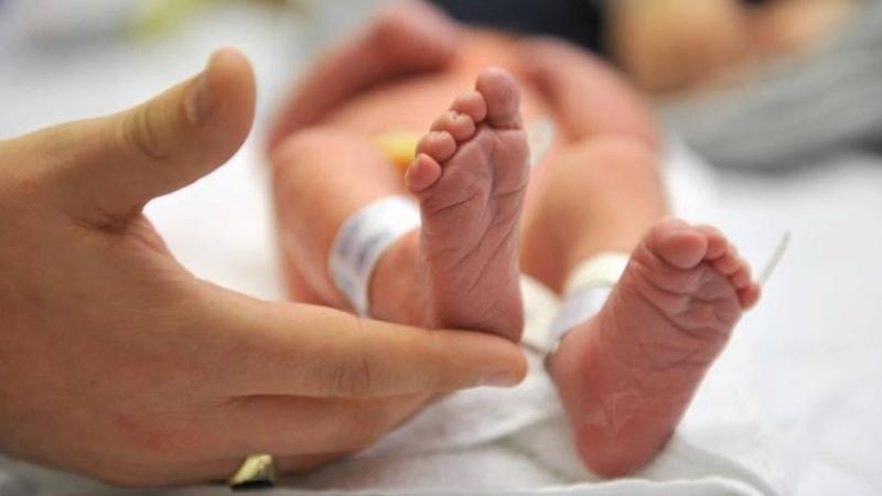 First Isle of Man population report shows 461 rise in residents - BBC News