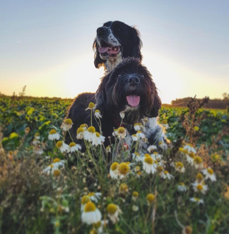 England's Big Picture: 8 - 14 October - BBC News