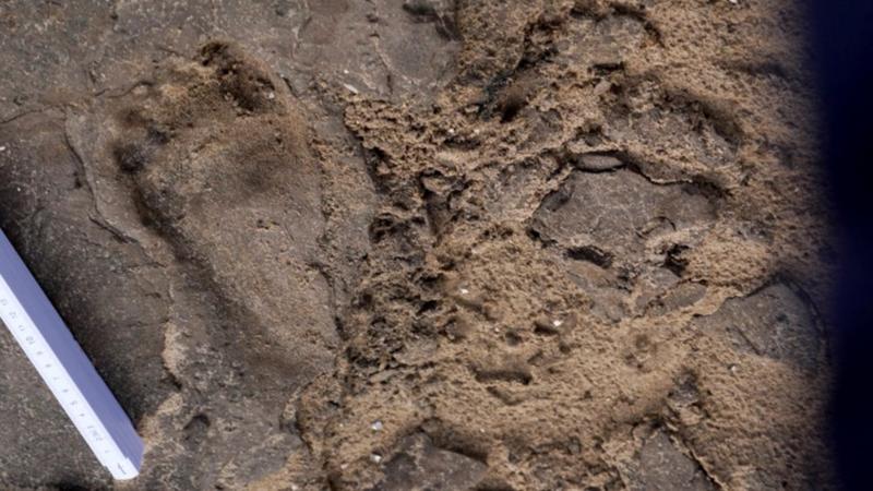 9,000-year-old human footprints found on Formby Beach! - BBC Newsround