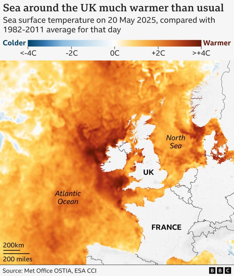 Marine heatwave: UK sea temperatures soar after exceptionally warm ...