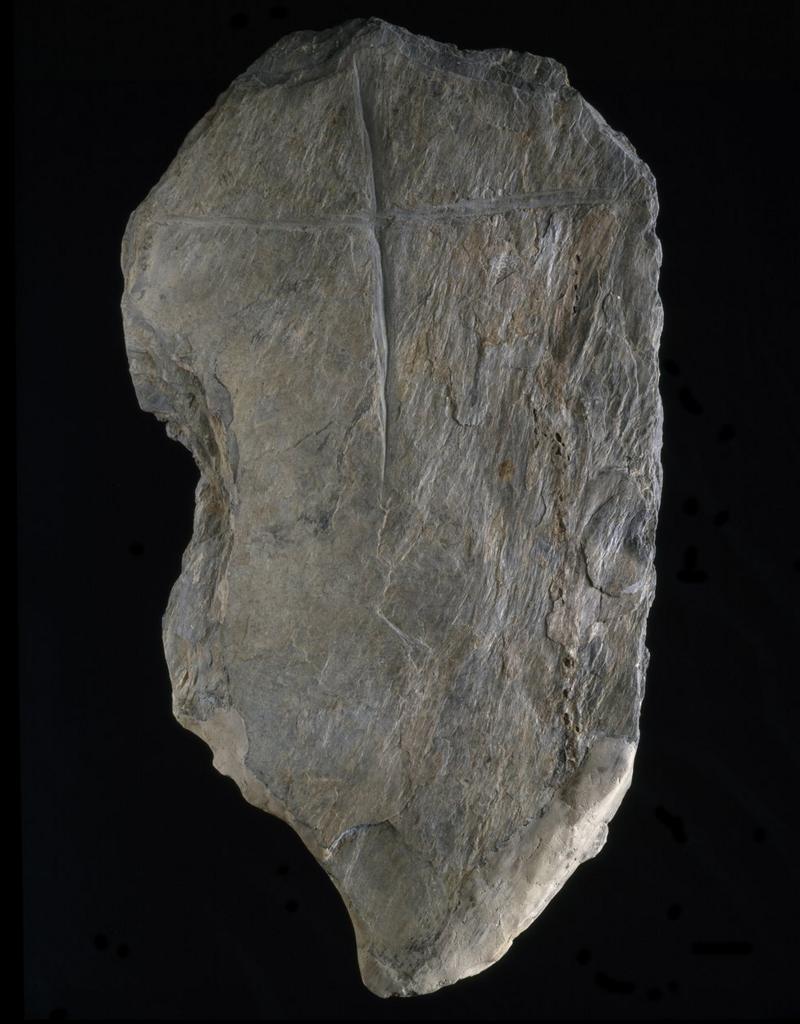 Revisiting one of Scotland's rarest Viking burials - BBC News