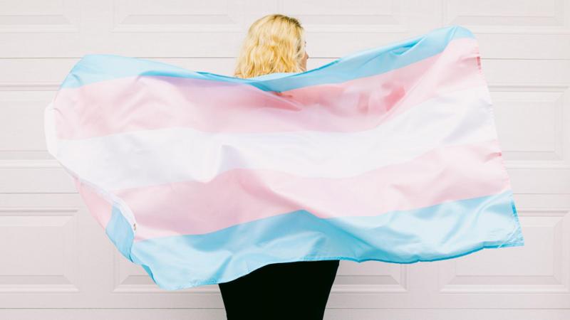 Transgender people - BBC News