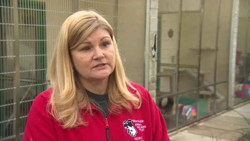 'Fairytale ending' for fat cat Mitzi returned four times - BBC News